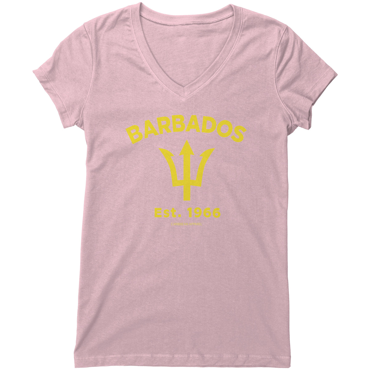 Barbados Vintage CA Women's Tee – CARIBBEAN APPAREL™